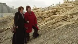 Sightings of Oiled Birds and Timber off Shepway - Folkestone and Hythe ...