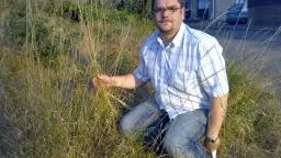 Risborough Lane Grass Cutting Call - Folkestone and Hythe Liberal Democrats