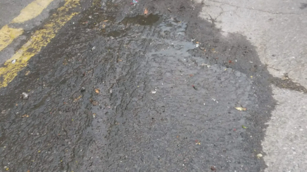 Sandgate's Own Peckham Spring... - Folkestone and Hythe Liberal Democrats